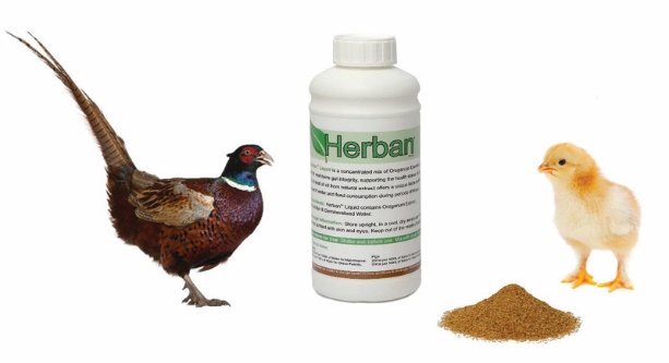 Herban for Game Production – Herban